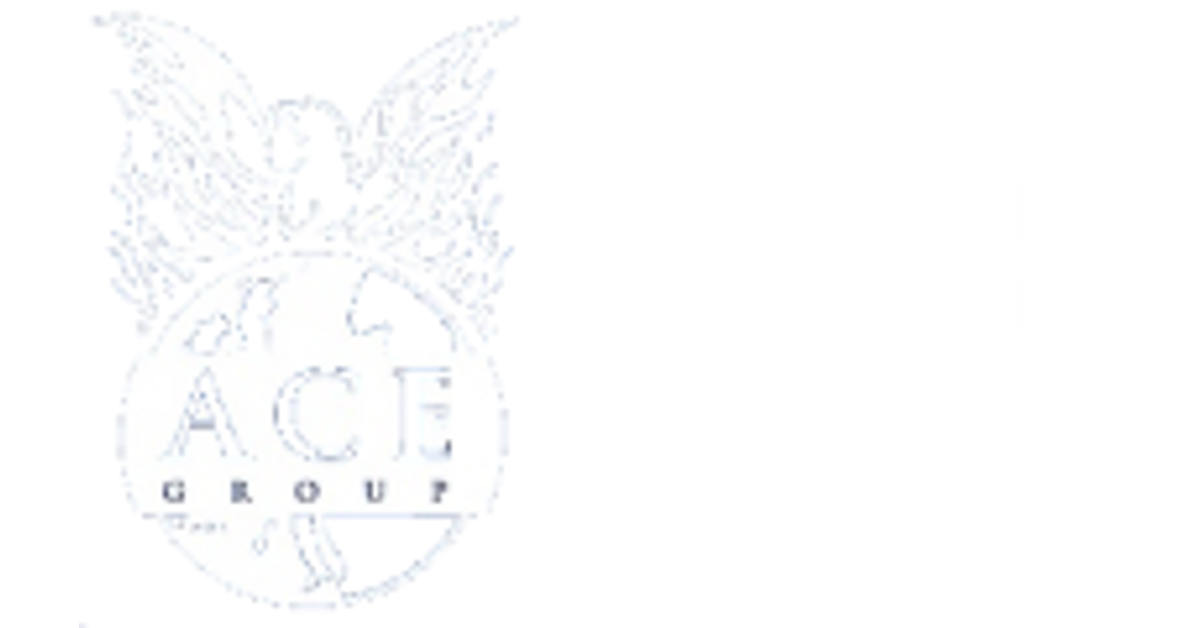 IP-Rated Electrical Case Manufacturer UK | Ace Case – acecase.store